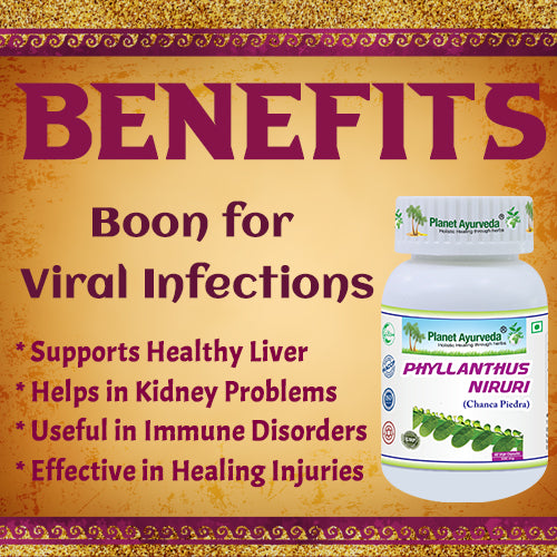 Planet Ayurveda Phyllanthus Niruri Capsules - Usage, Dosage and Benefits