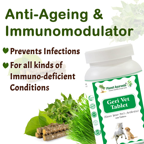 Buy Planet Ayurveda Geri Vet Tablets - Dosage & Benefits