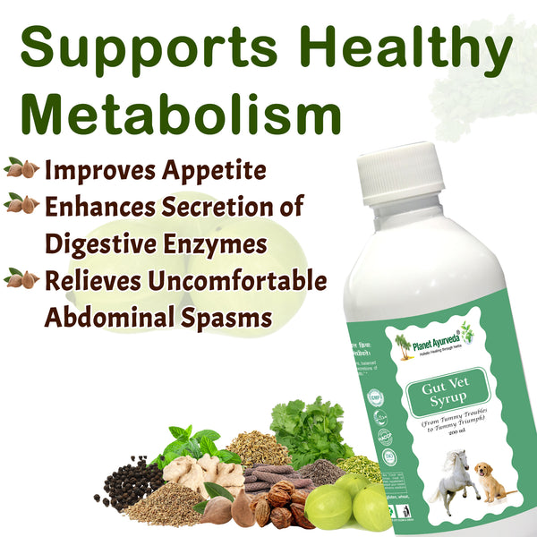 Planet Ayurveda Gut Vet Syrup - Usage, Dosage and Benefits