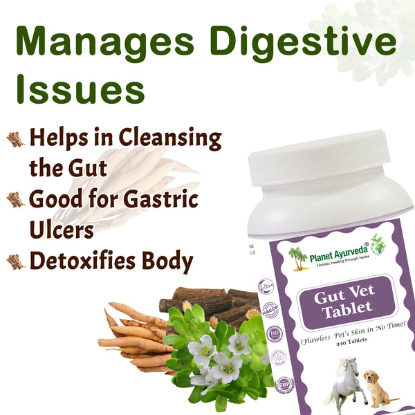 Buy Planet Ayurveda Gut Vet Tablets - Dosage & Benefits