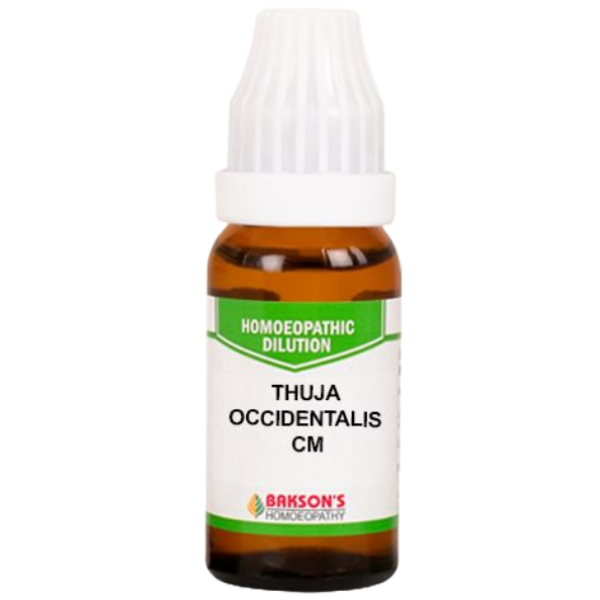 Buy Bakson's Homeopathy Thuja Occidentalis Dilution CM - Uses, Benefits ...